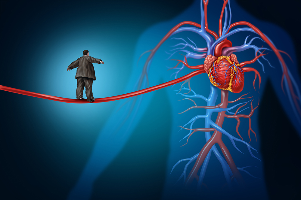 The link between obesity and cardiovascular disease