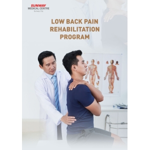 Low Back Pain Rehabilitation Program